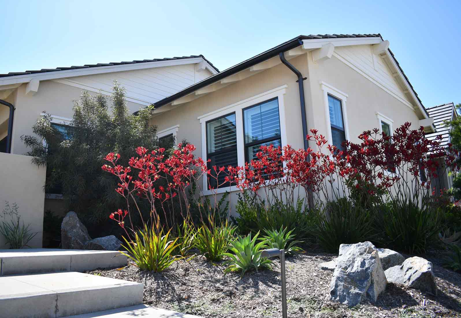Xeriscape vs Drought Tolerant - Artisan Outdoor